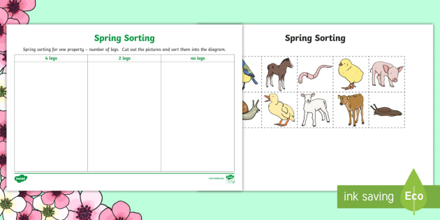 Spring Animal Shape Sorting Worksheet / Worksheet