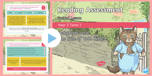 Year 2 Term 1 Paper 1 Reading Assessment Guided Lesson PowerPoint