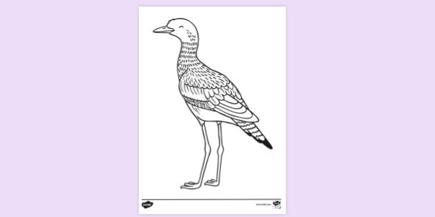 FREE! - Curlew Colouring | Colouring Sheets (teacher made)