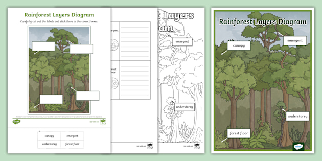 Geography Diagrams | twinkl.com.au