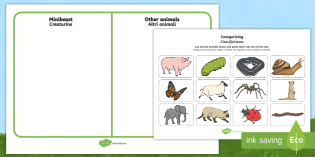 Minibeast and Other Animals Sorting Activity English/Italian