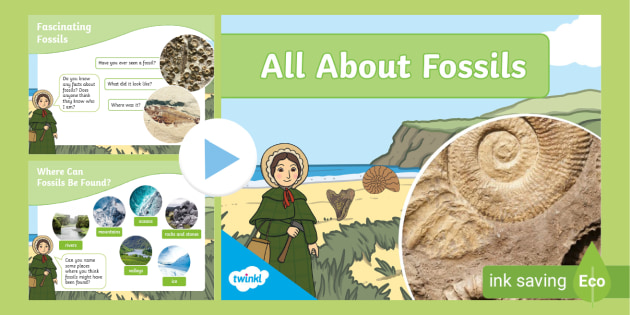 Fossil Homework Ks2 Year 6 Science Evolution How Fossils Help Us