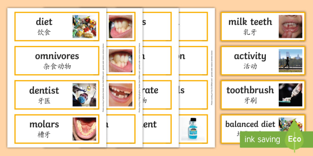 Teeth and Nutrition Word Cards English/Mandarin Chinese - demon dentist