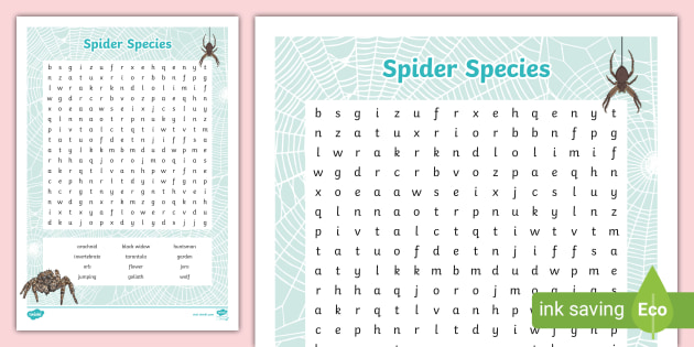 Spider Species Word Search