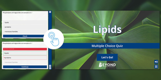 A Level Biology: Lipids Multiple Choice Quiz (MCQ) | Beyond