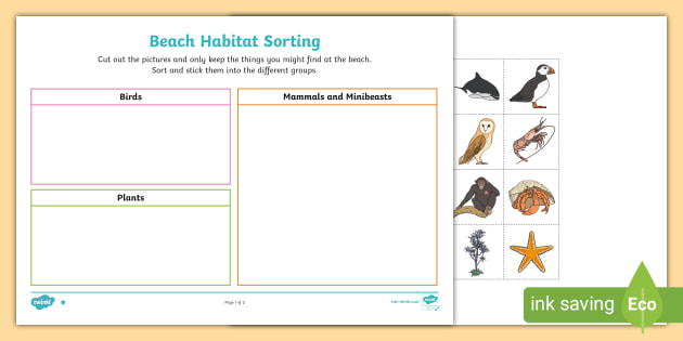 KS1 Activities | twinkl.co.uk