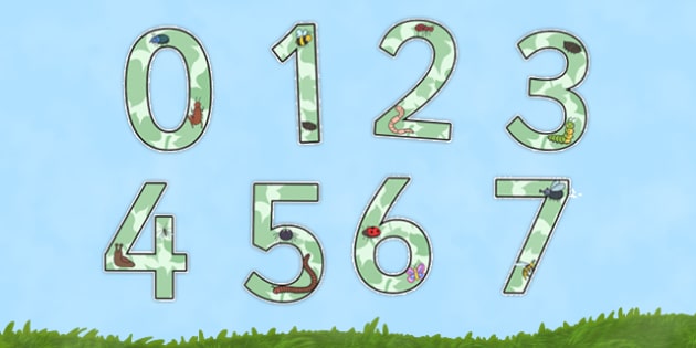 Display Numbers Minibeasts (teacher made)