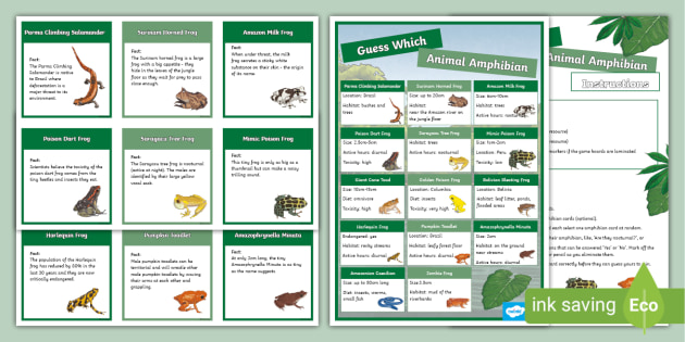 Guess Which Amazon Amphibian Game