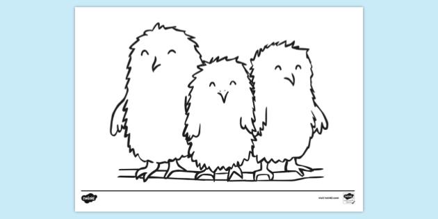FREE! - Printable Owl Colouring Page (teacher made)