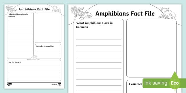 Amphibian Fact File Template (teacher made)
