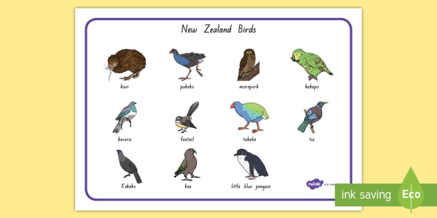 New Zealand Bird Word Mat (teacher made)