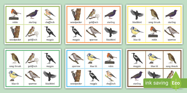 British Birds Bingo Game (teacher made)