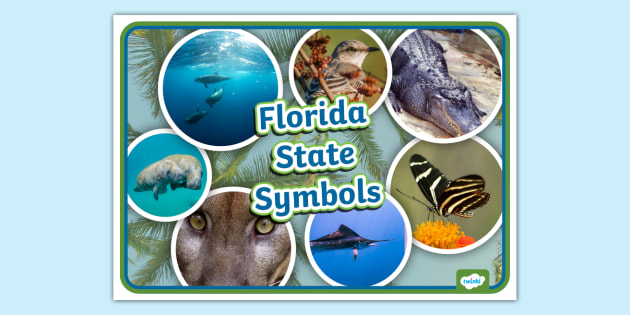 Florida Geography Resources | twinkl.co.uk