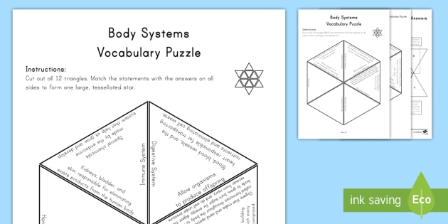 Body Systems Vocabulary Puzzle (teacher made)