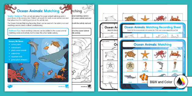 Ocean Animals Sensory Bin Matching Activity Mat
