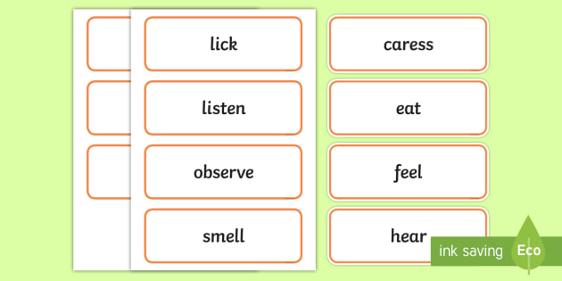 Sense Verbs Word Cards