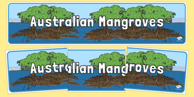 Australian Mangroves Display Banner (teacher made)