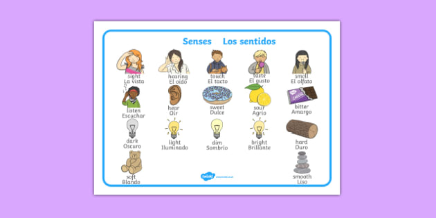 The Senses Word Mat Spanish Translation