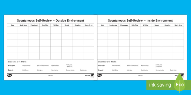 EYFS Spontaneous Self Review Report (teacher made)