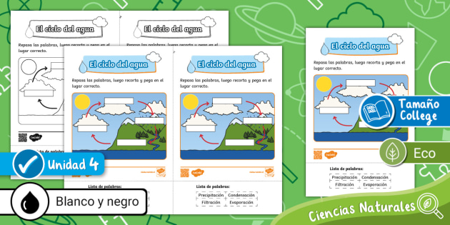 Hojas De Trabajo Con Actividades Sobre El Ciclo Del Agua Ciclo Del