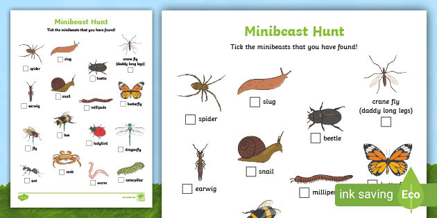 Minibeast Hunt Sheet (teacher made)