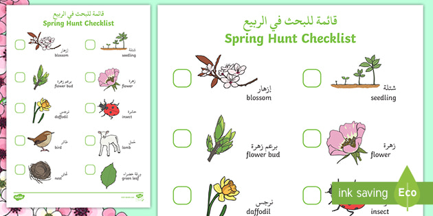 Spring Hunt Checklist Arabic Translation (teacher made)