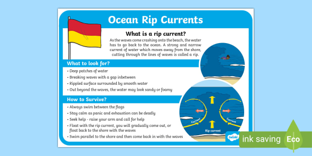 Ocean rip currents posterㅣAustralian CurriculumㅣScience.