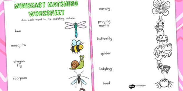 Minibeast Cute Word and Picture Matching Worksheets