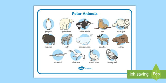FREE! - Polar Animals Word Mat (teacher made)