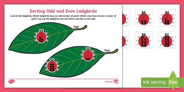 👉 Even and Odd Numbers Ladybirds Activity Sheet