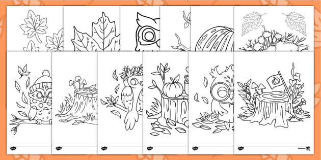 Twinkl Coloring Sheets | twinkl.com