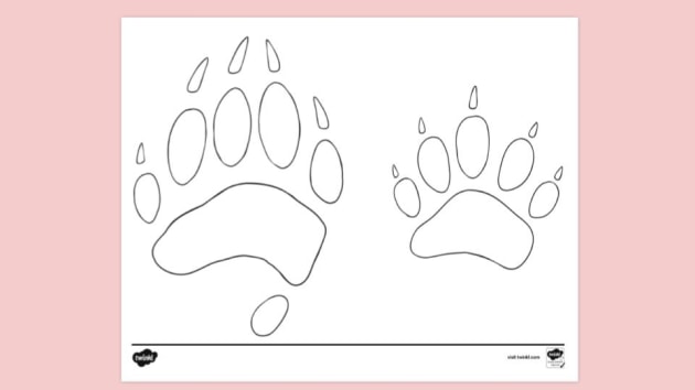 FREE! - Paw Colouring | Colouring Sheets (teacher made)