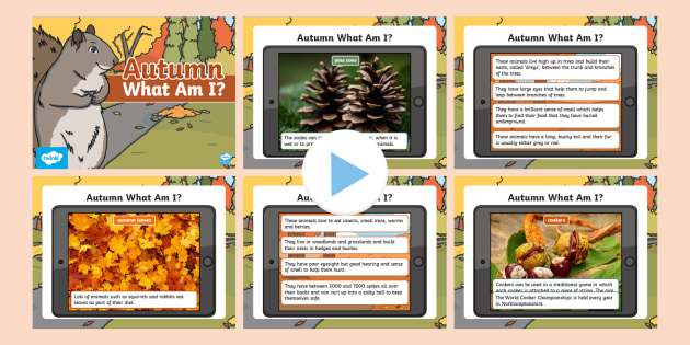 Autumn What Am I? PowerPoint (teacher made)