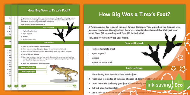 How Big Was a T. rex's Foot? Activity (teacher made)