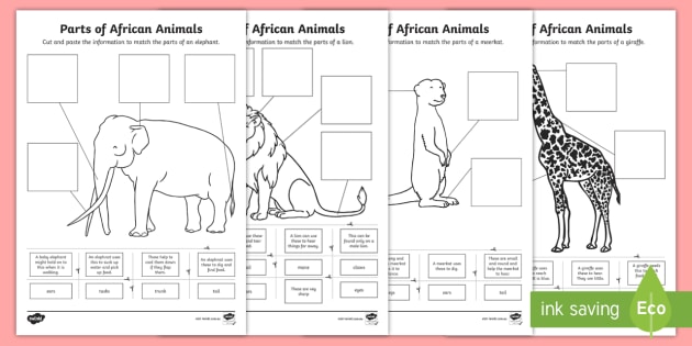 Parts of African Animals Cut and Paste Worksheet / Worksheets - Parts of