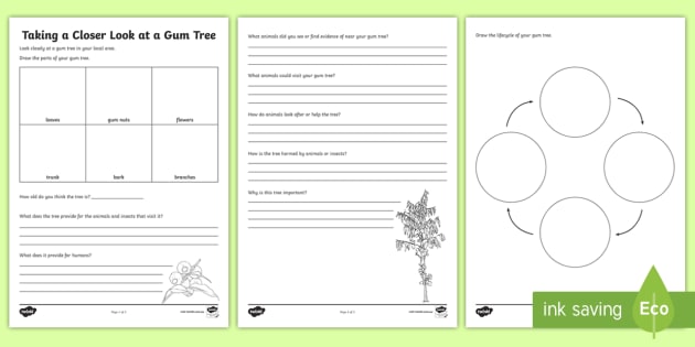 Gum Tree Worksheet / Worksheet