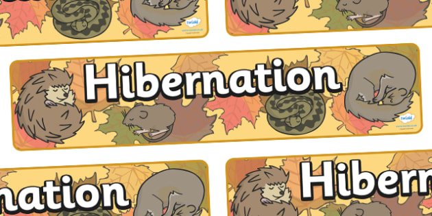 Hibernation Display Banner - Winter, hibernate, display banner