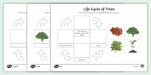complete life tree