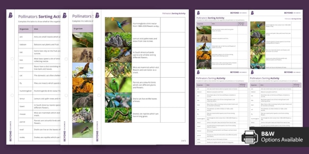 Plant Reproduction: Pollinator Sorting Activity