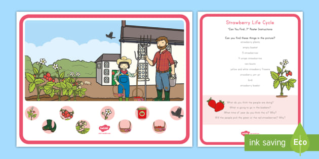 Strawberry Farm Can You Find? Picture Activity