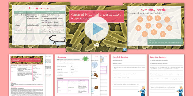Required Practical Investigation: Microbiology