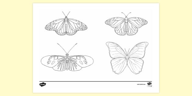 FREE! - Printable Butterfly Pages | Colouring Sheets