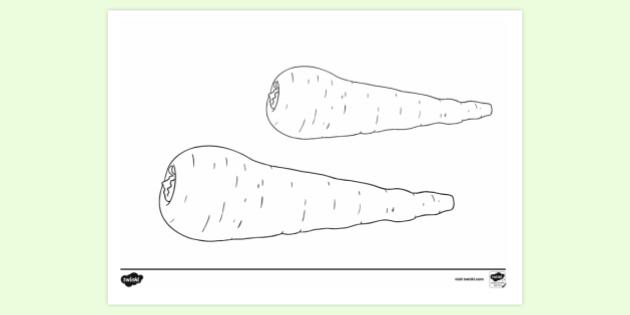 FREE! - Parsnips Colouring Sheet - Colouring Pages - Twinkl