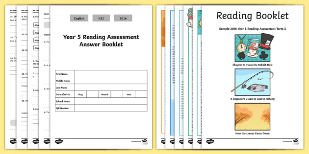 * NEW * Year 5 Term 2 Reading Assessment Pack (teacher made)