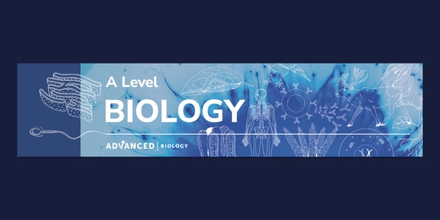 A Level Biology Banner (teacher made)