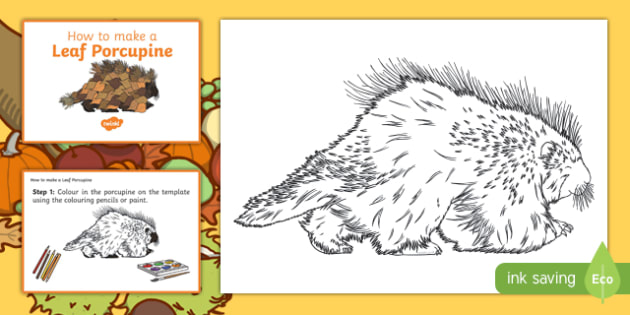 Leaf Porcupine Craft | Save time planning | Twinkl Resource