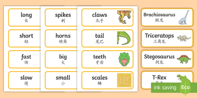 Dinosaur Themed Word Cards English/Mandarin Chinese - Dinosaur Words Cards
