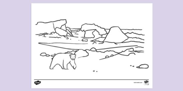 FREE! - Arctic Colouring Sheet | Colouring Sheets | Twinkl Resources