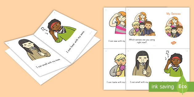 My Senses Emergent Reader (teacher made)