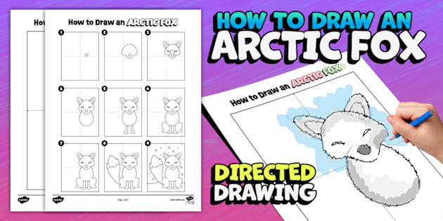 Arctic Fox Drawing Step By Step